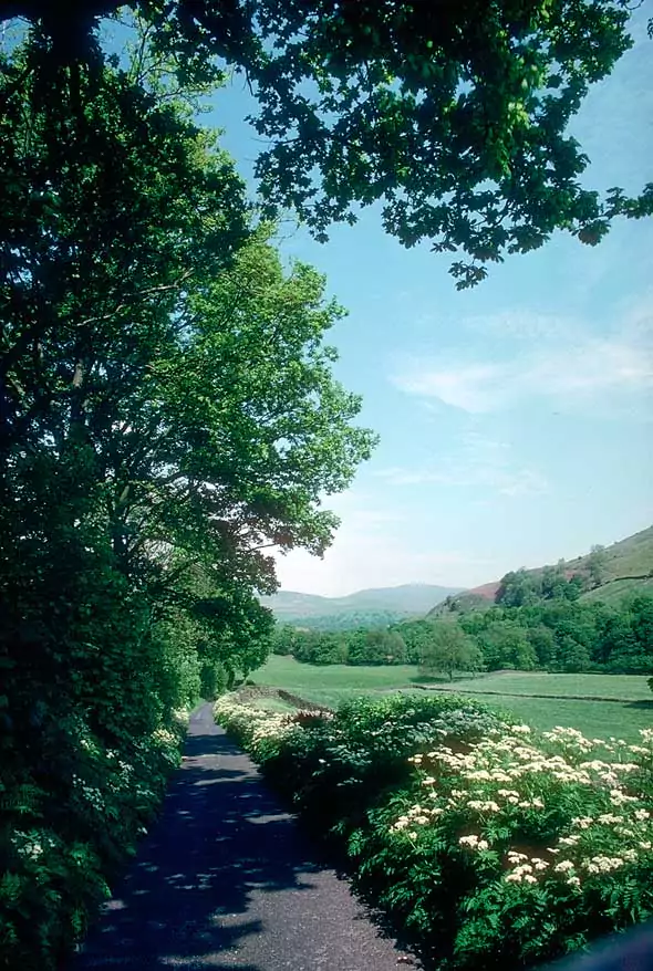 Kentmere Valley | Photos | Lake District Guide