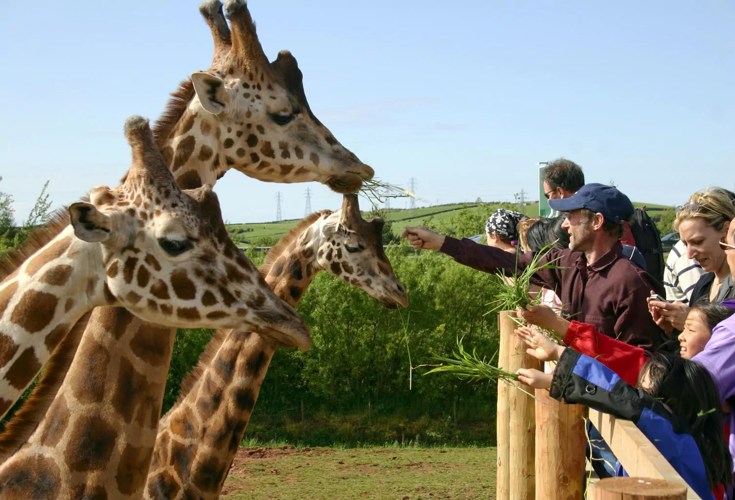 South Lakes Safari Zoo | Lake District Guide